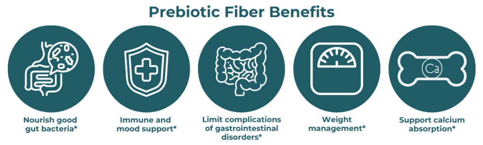 Prebiotic Fiber - Everything You Need to Know